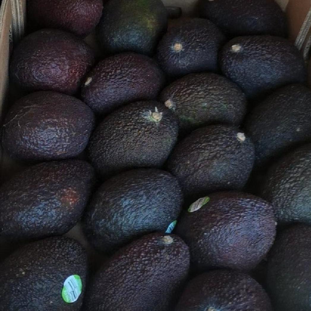 Avocados become "bear" avocados, Australian avocados are "cornered ...