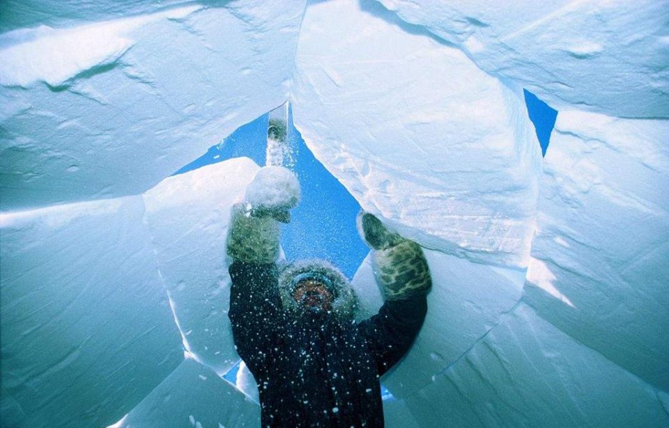 Living in an igloo, eating raw polar bears, the wild life of the Inuit ...