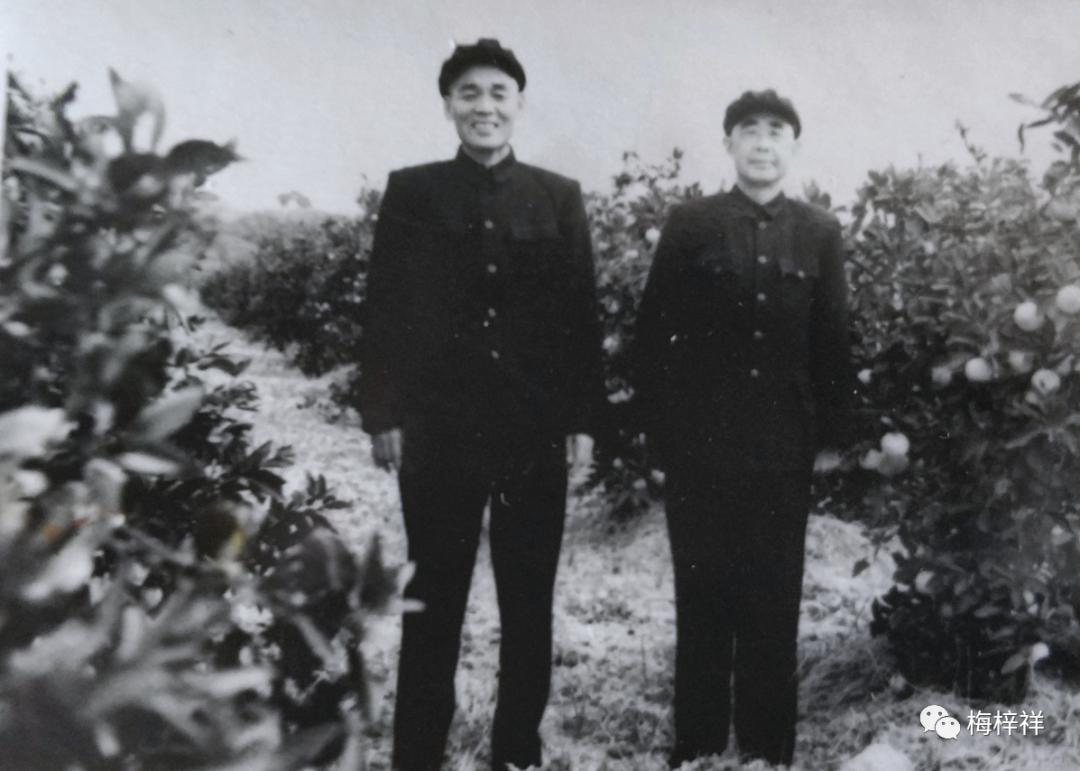 Biography of the leaders of the railway soldiers: Zi Xiulin's original ...