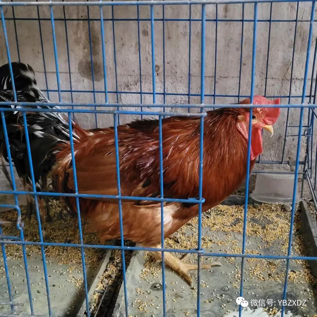 Exception report received on September 14, 2022 - iMedia