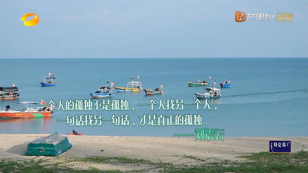 A kapok flower leads to a "longing design competition" - iNEWS