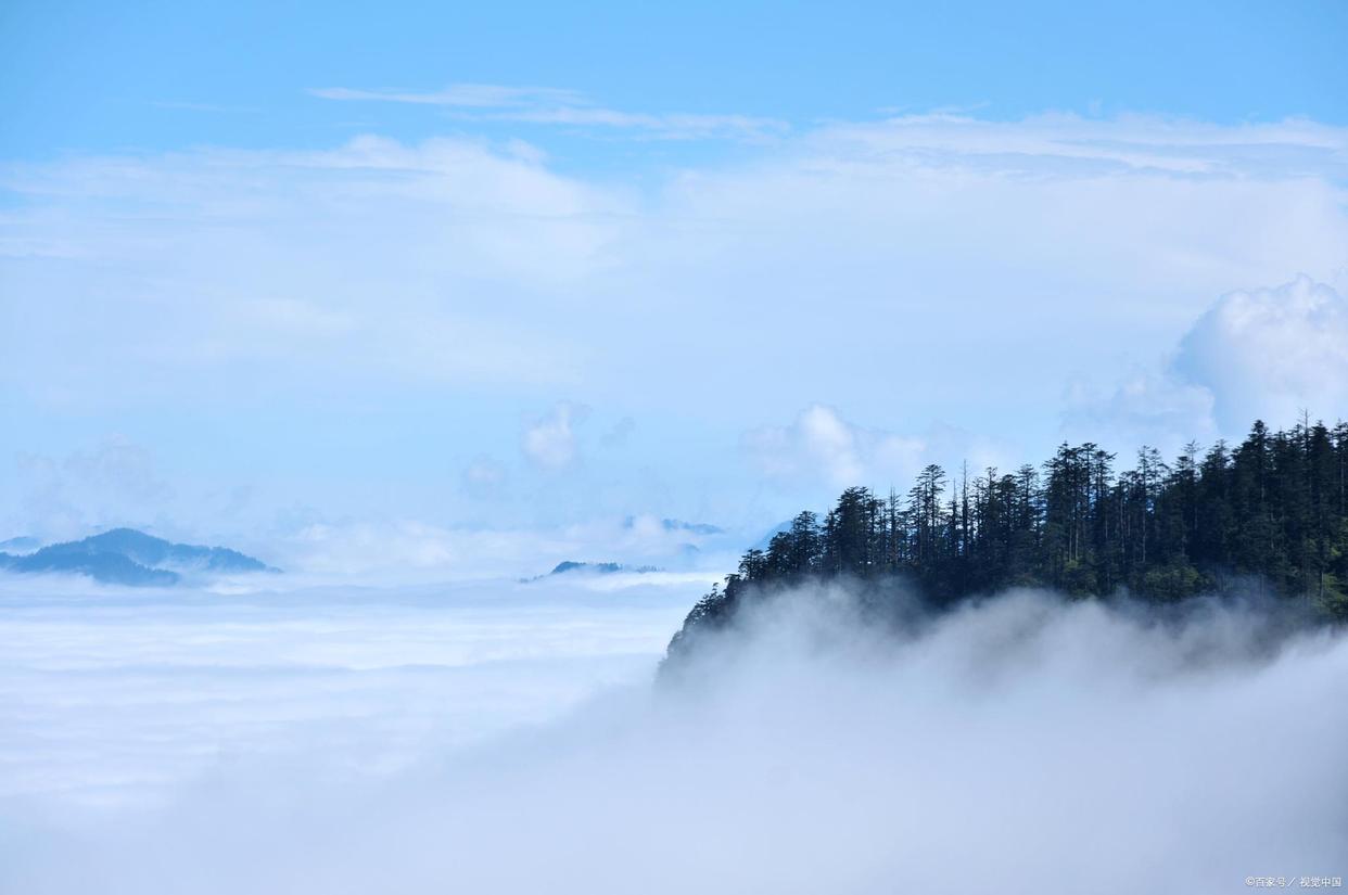 A collection of Song Ci classics, each of the 21 poets has a ...