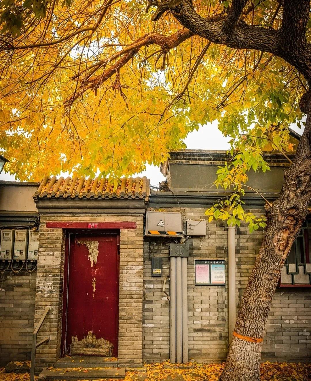 Hutong travel guide, encounter different autumn colors in these 4 ...