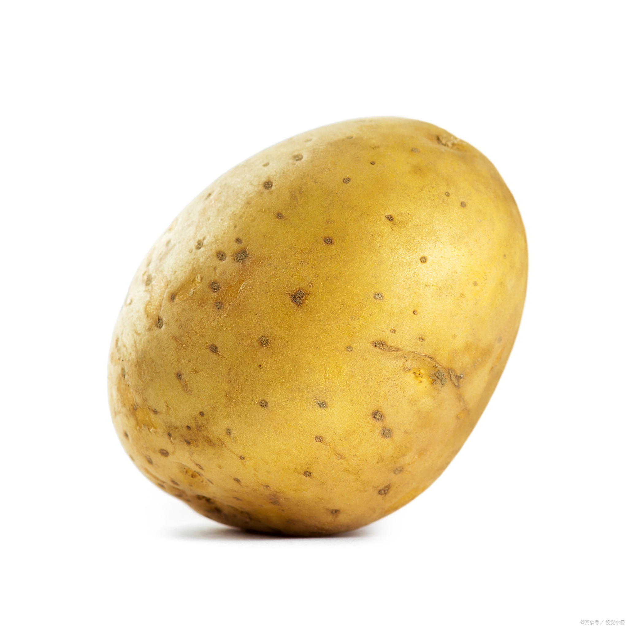 Homemade Spicy Dry Pot Shrimp - iNEWS