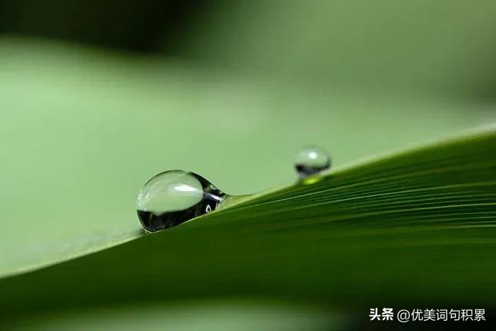 Excerpts from beautiful passages (26) - iNEWS