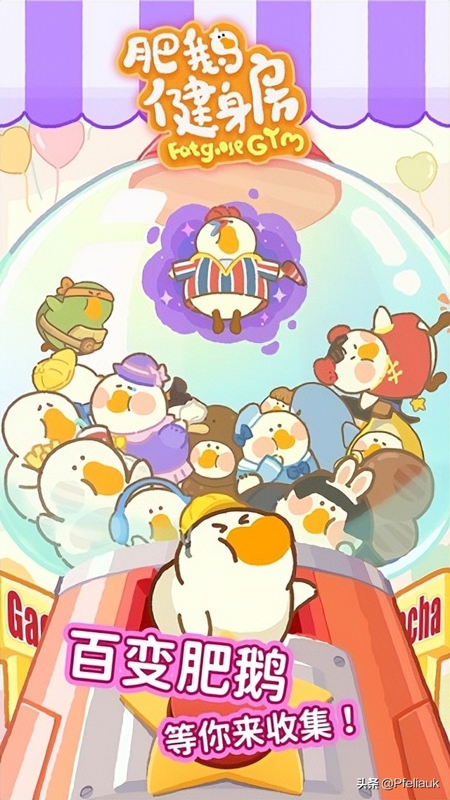 The latest version of Fat Goose Gym - iNEWS