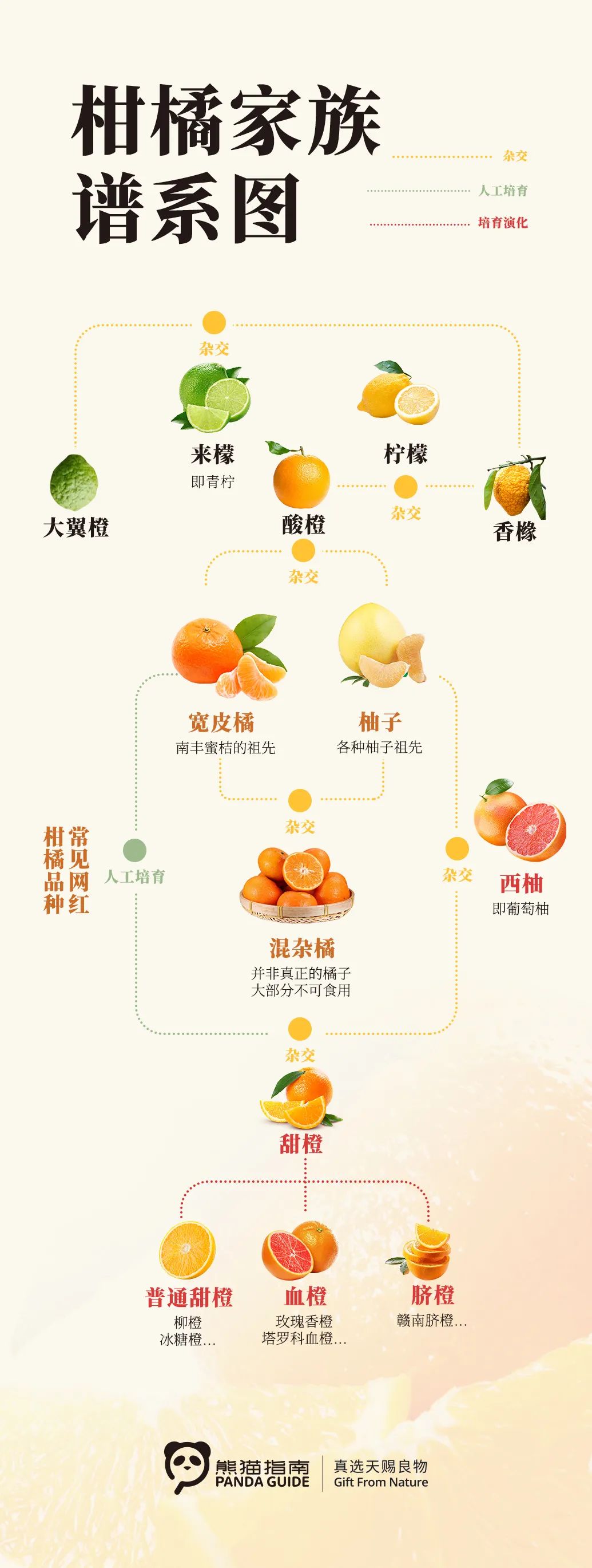 Map of eating oranges in China - iNEWS