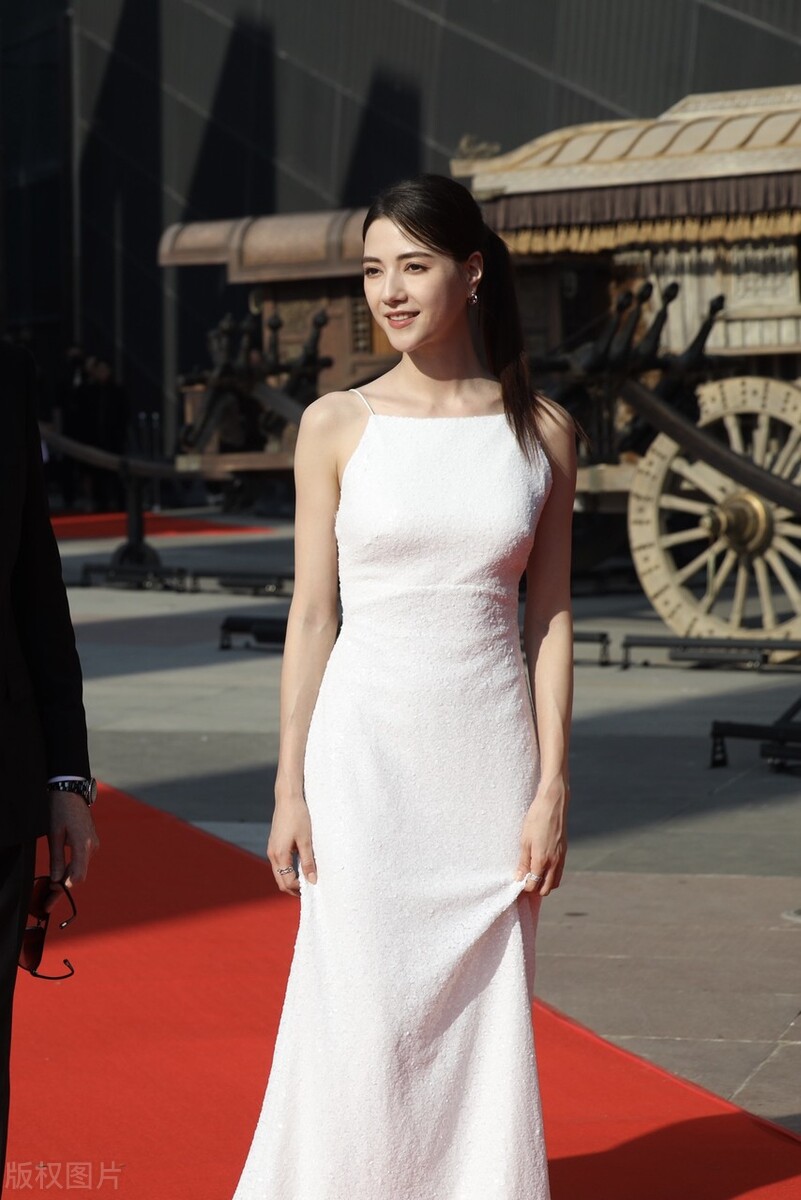 Yuan Quan, Fei Xiang, "Su Daji" Naran and others attended the red ...