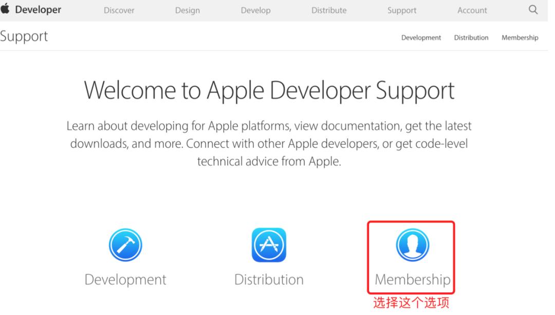 Countdown! iOS 17.0 beta internal testing system, are you ready? - iMedia