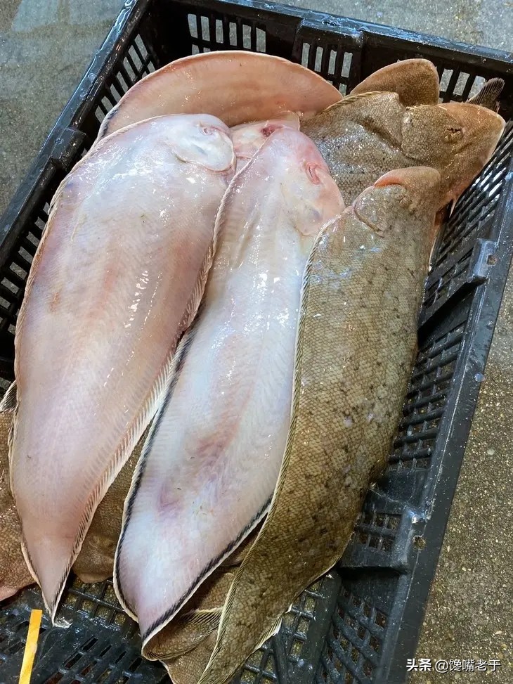 "Longli fish" is fresh and tender without thorns, the elderly and ...