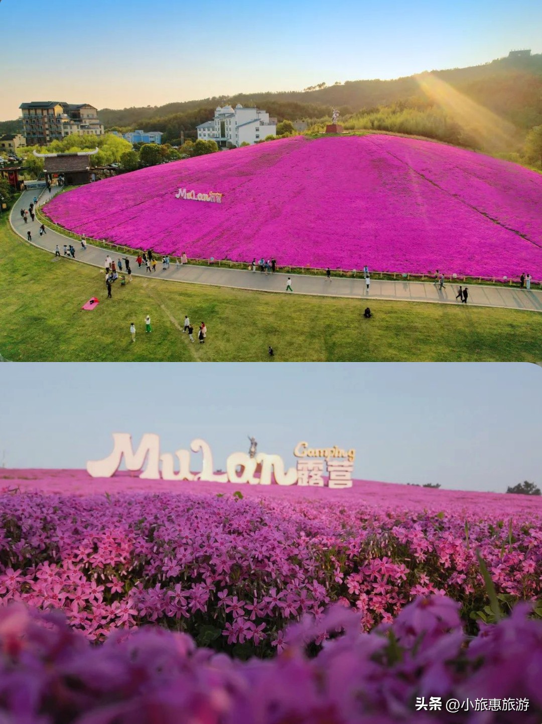 The 9 most beautiful flower sites in Wuhan in March, don't regret it ...