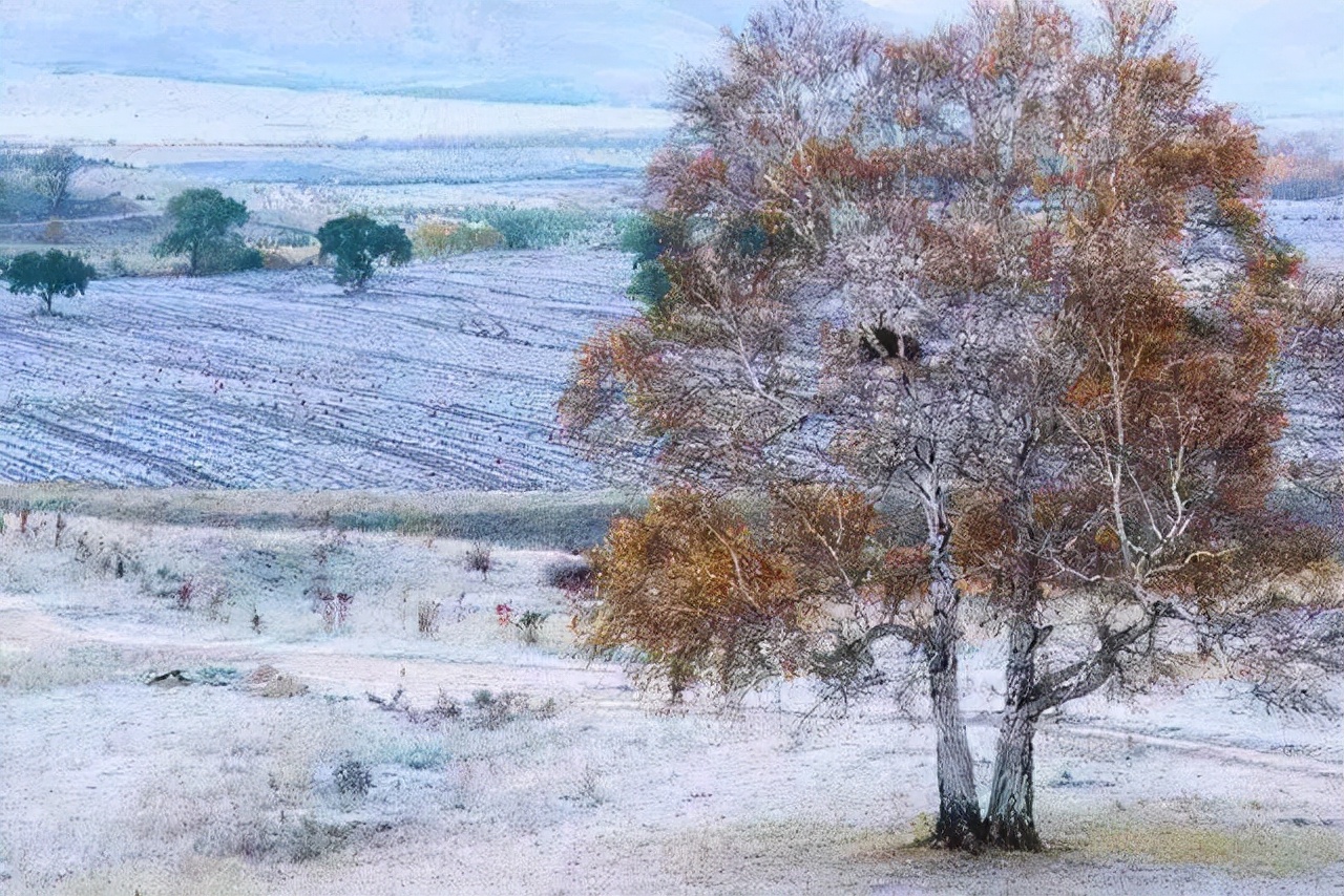 Detailed Explanation of the Book of Changes Chapter 11—Kun Hexagram Six ...