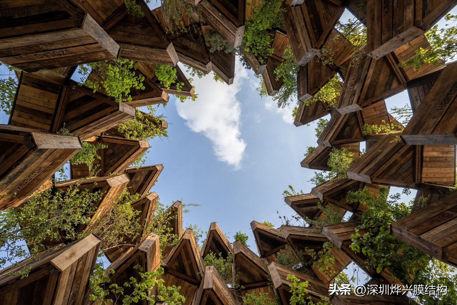 116 plant boxes form a vertical garden - iNEWS