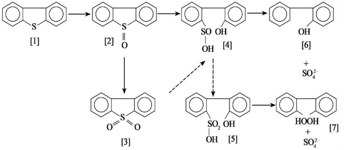 Isolation and Screening of Specific Desulfurization Bacteria LY822 and ...