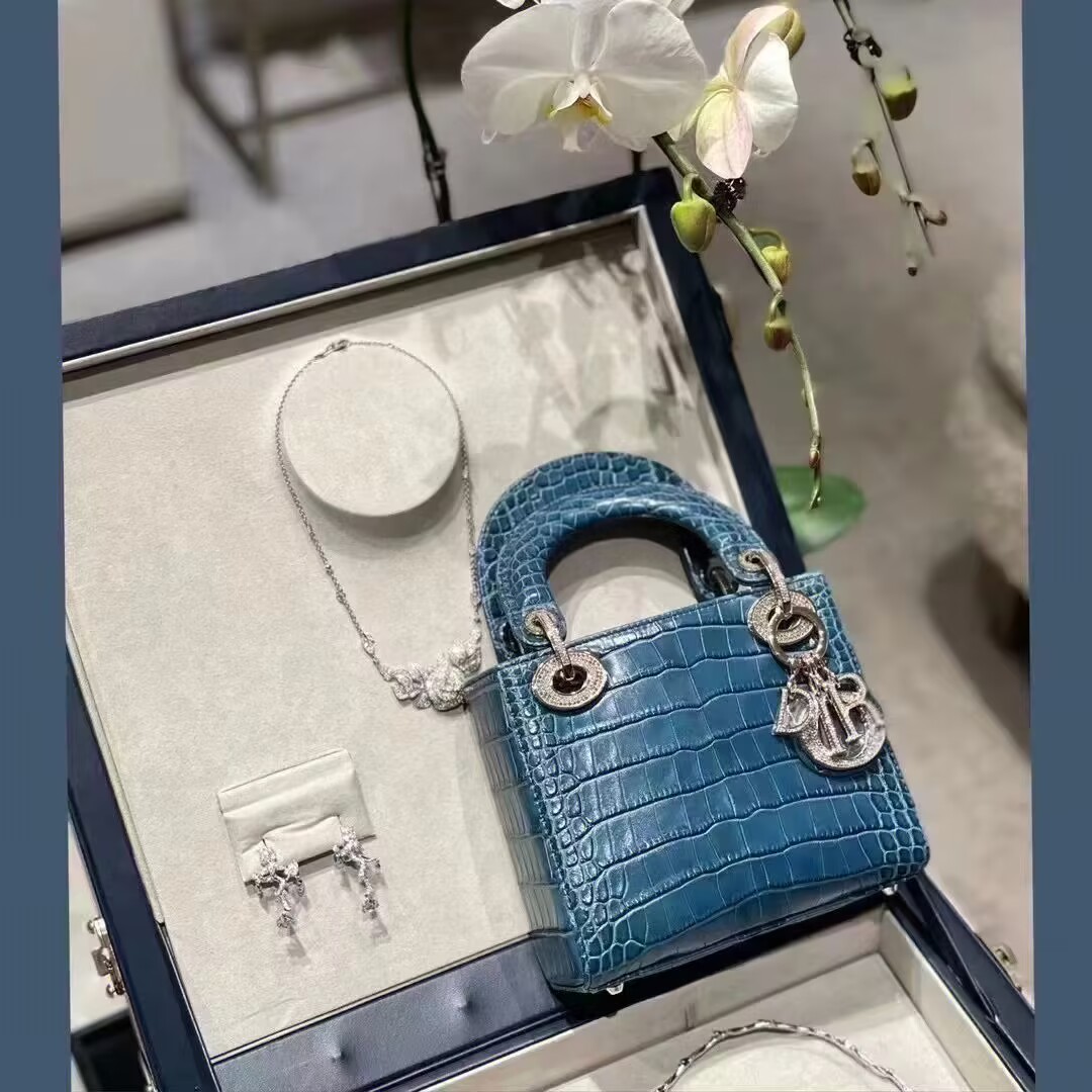 Dior rare leather Princess Dai - iMedia