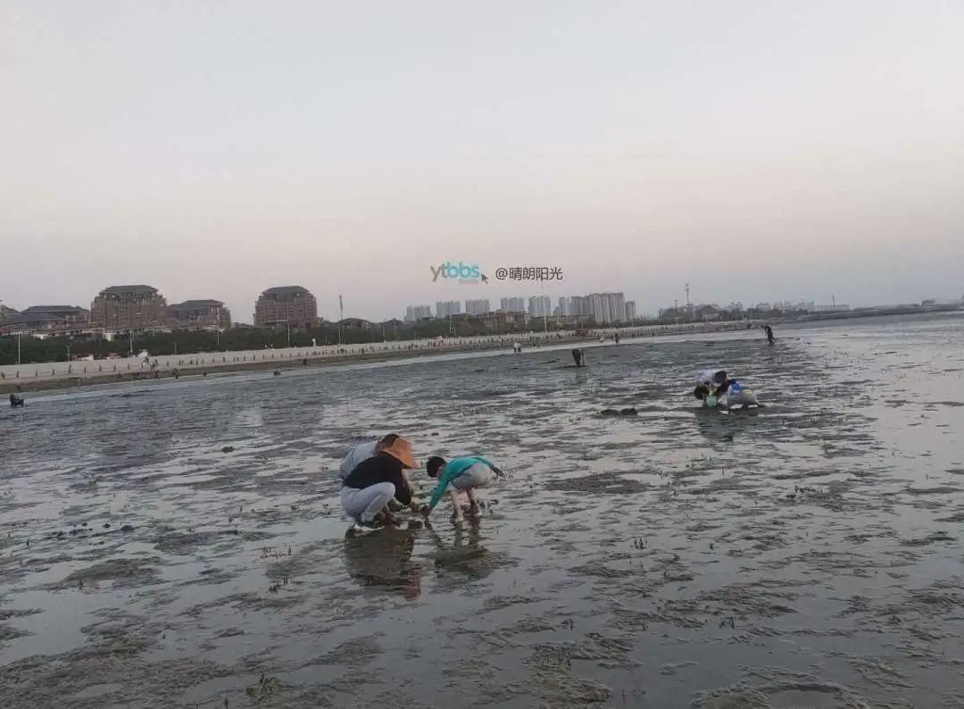 Catch the sea and become the greatest pleasure of Yantai people!These ...