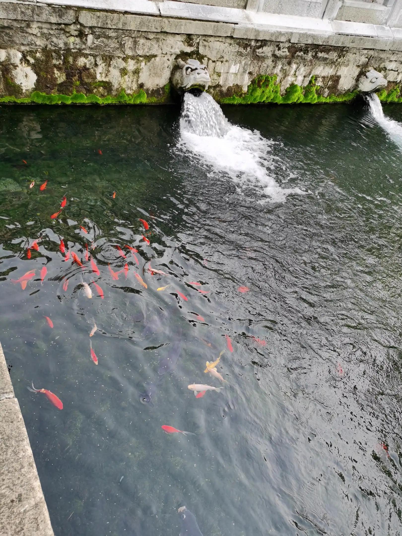 Spring Water Culture of Jinan People - iMedia