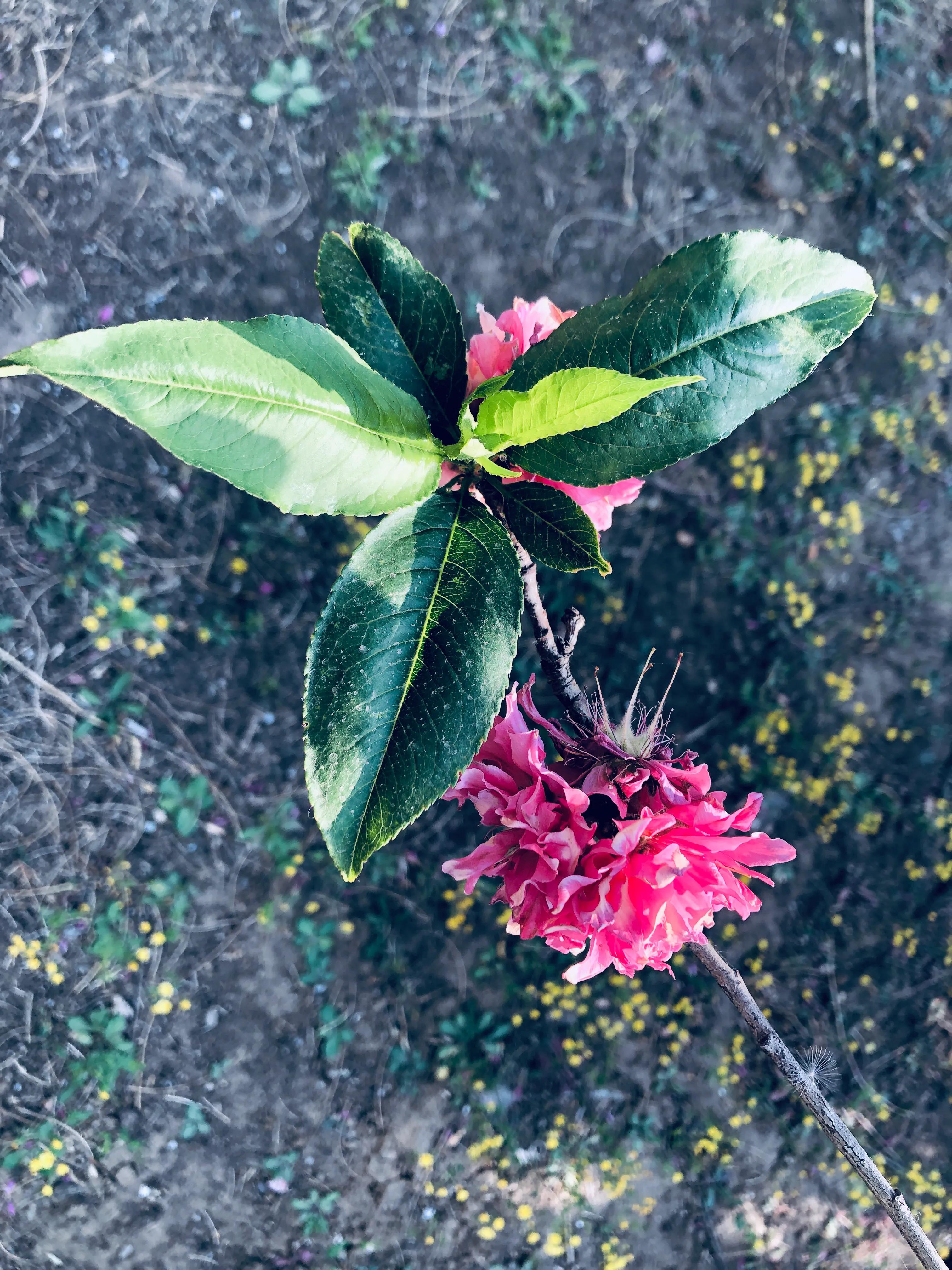 neglected love - iMedia