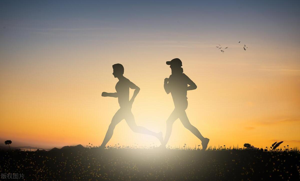 What is the difference between people who insist on exercising for a ...