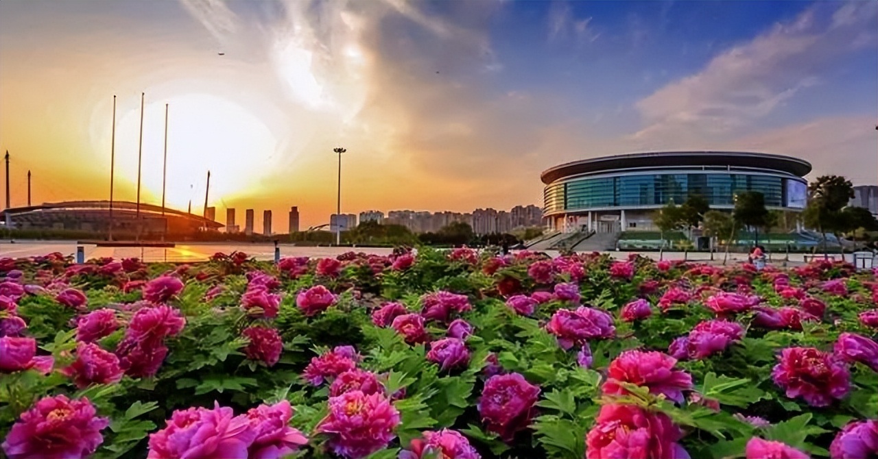 Rare peonies in Luoyang Wangcheng Park were picked?Love flowers don't ...