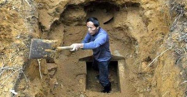 Why did the tomb robber turn away when he saw a willow tree next to the ...