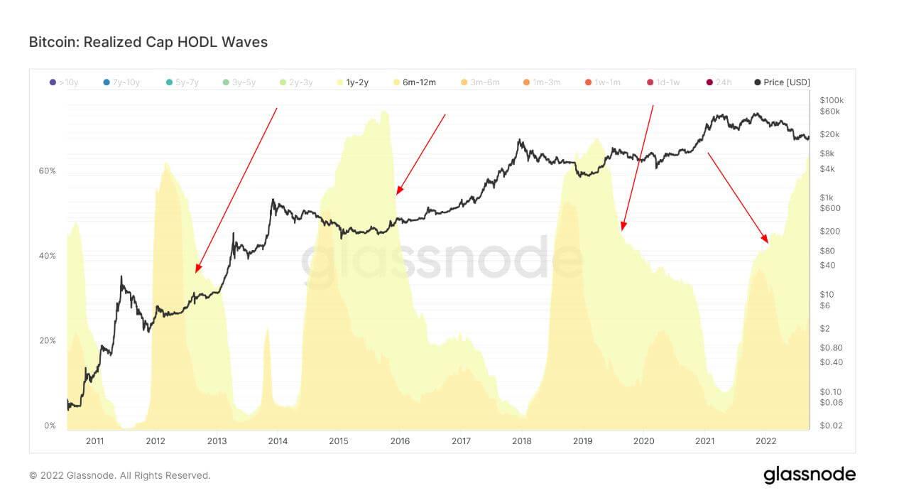 Research: Bitcoin HODL Wave Shows This Cycle Is Exactly Like All Other ...