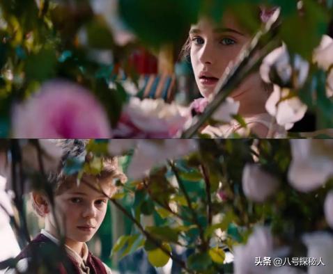 This time, "Remitch Adventures" reveals the growth journey of an ...