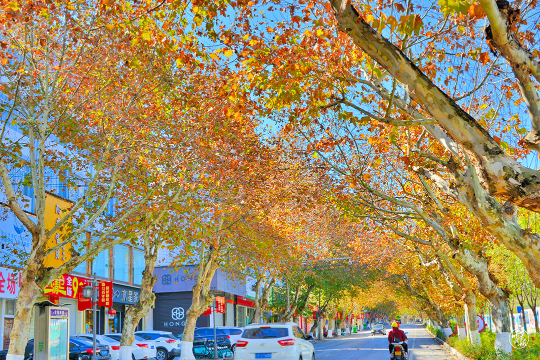 Baosan Changnyeong: It is colorful in winter - iNEWS
