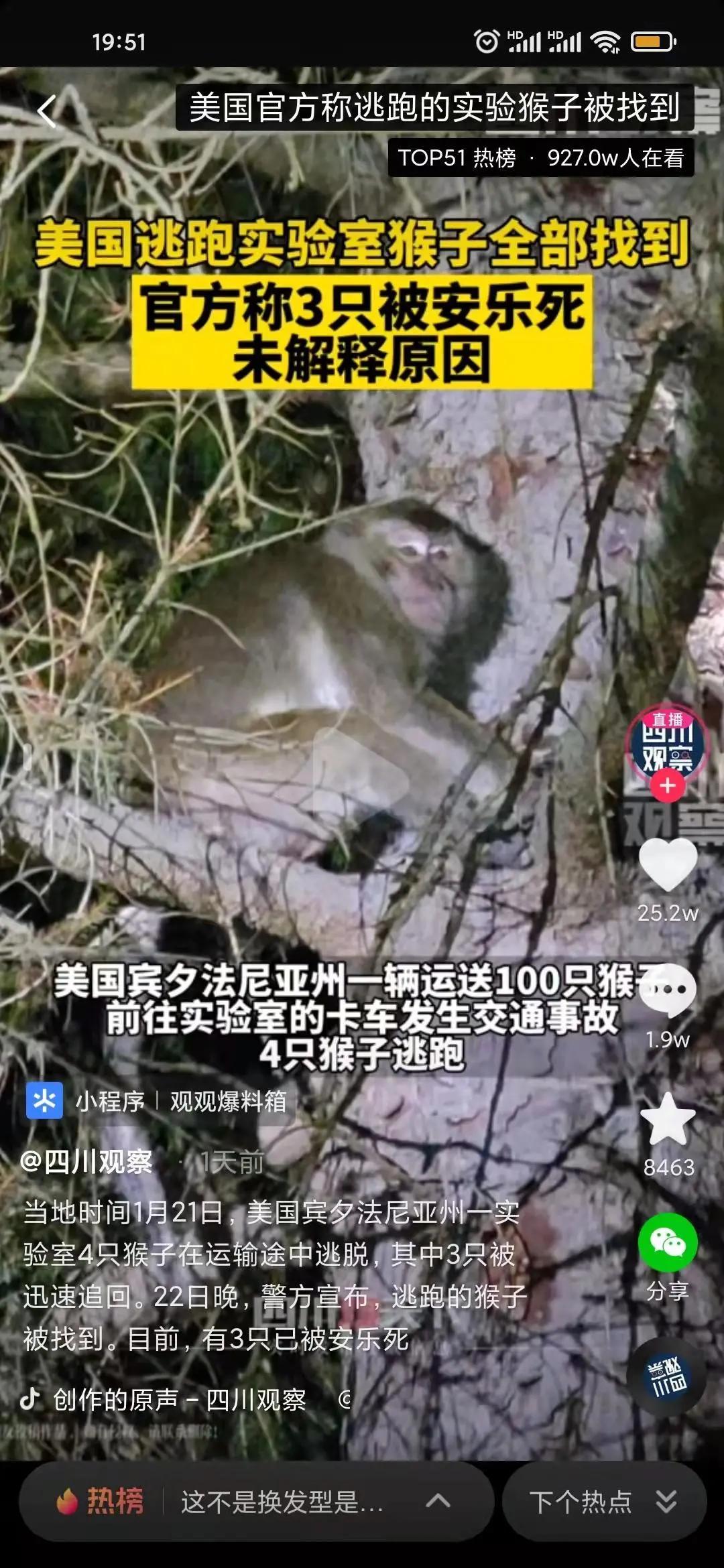 Tell a "joke" that America's monkeys have escaped again? - iNEWS