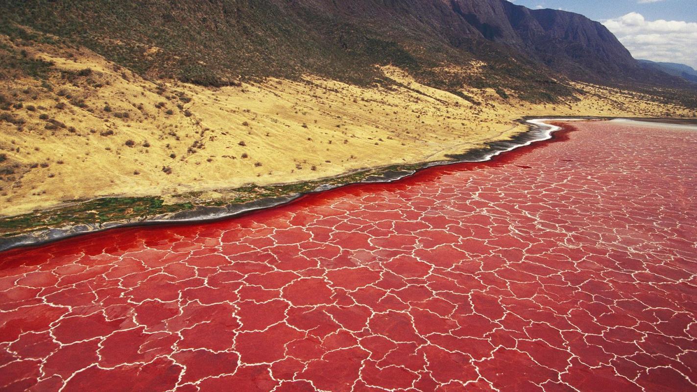 The blood-red lake water is petrified when touched. How terrifying is ...