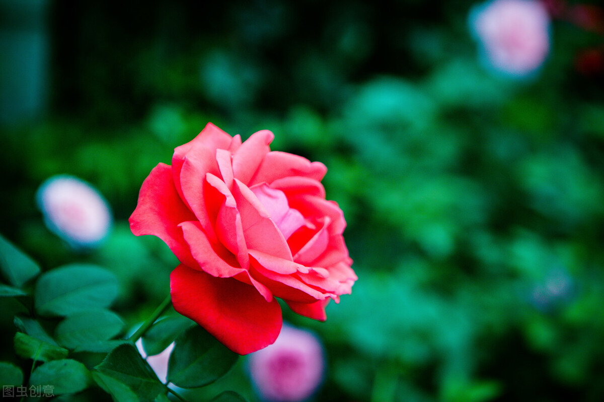 "People are extravagant, you can tell at a glance" People with ...