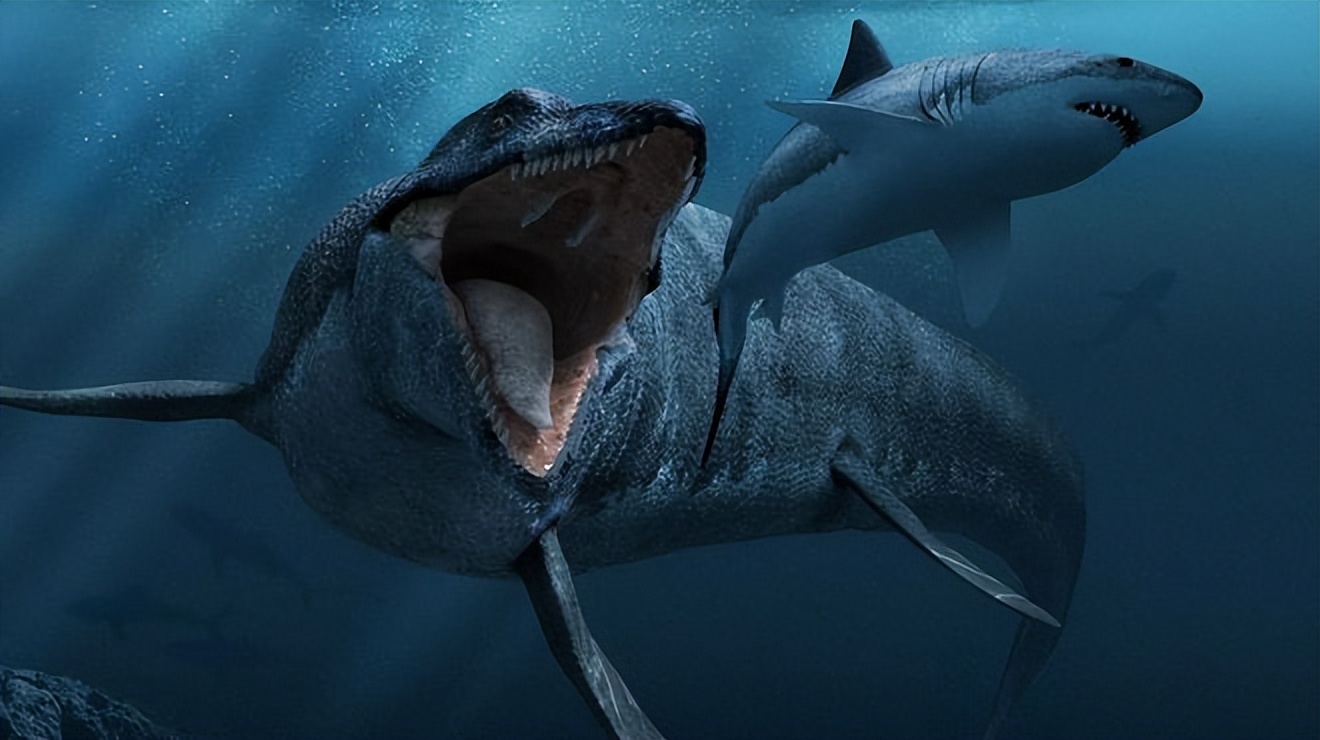 Explore the true nature and research progress of sea monsters ...