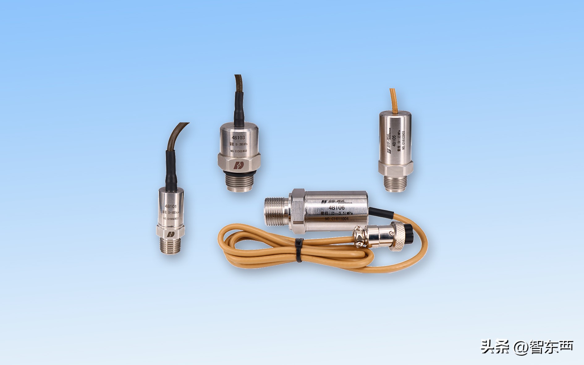 "Deciphering the Sensor World: Exploring Top Sensor Brands and Smart ...