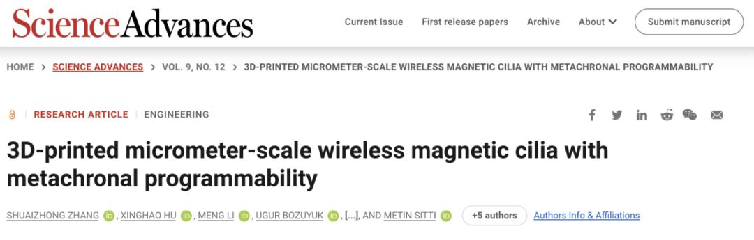 Chinese scholars prepare magnetically controlled artificial cilia with ...