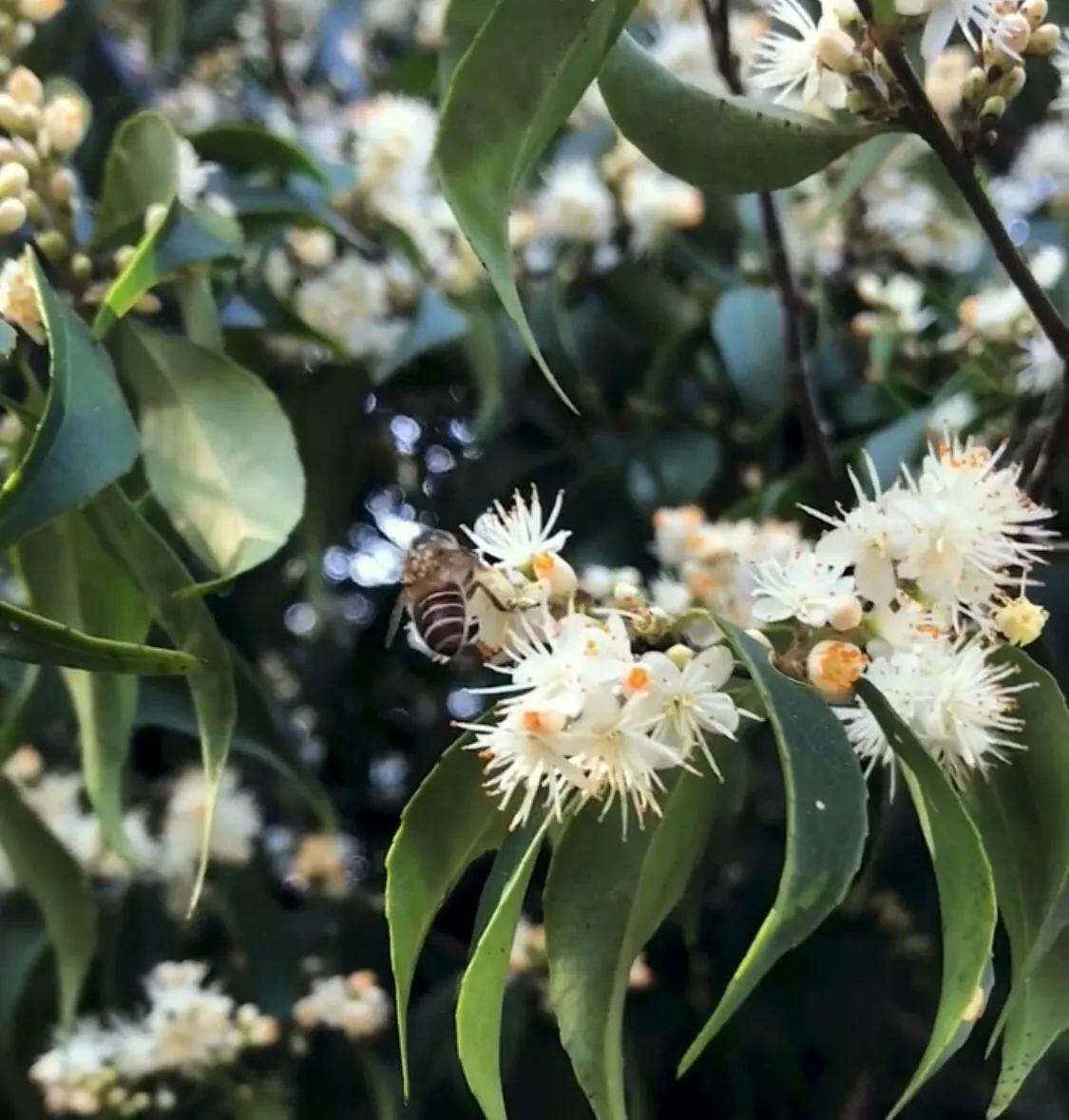 Shan Fan, have you seen it often? - iNEWS