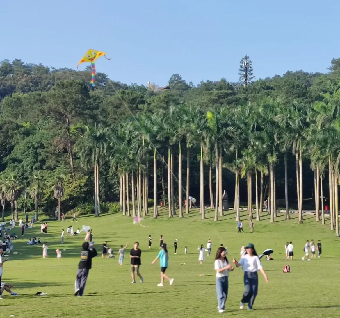 Qingxiu Mountain Grand Lawn - iNEWS