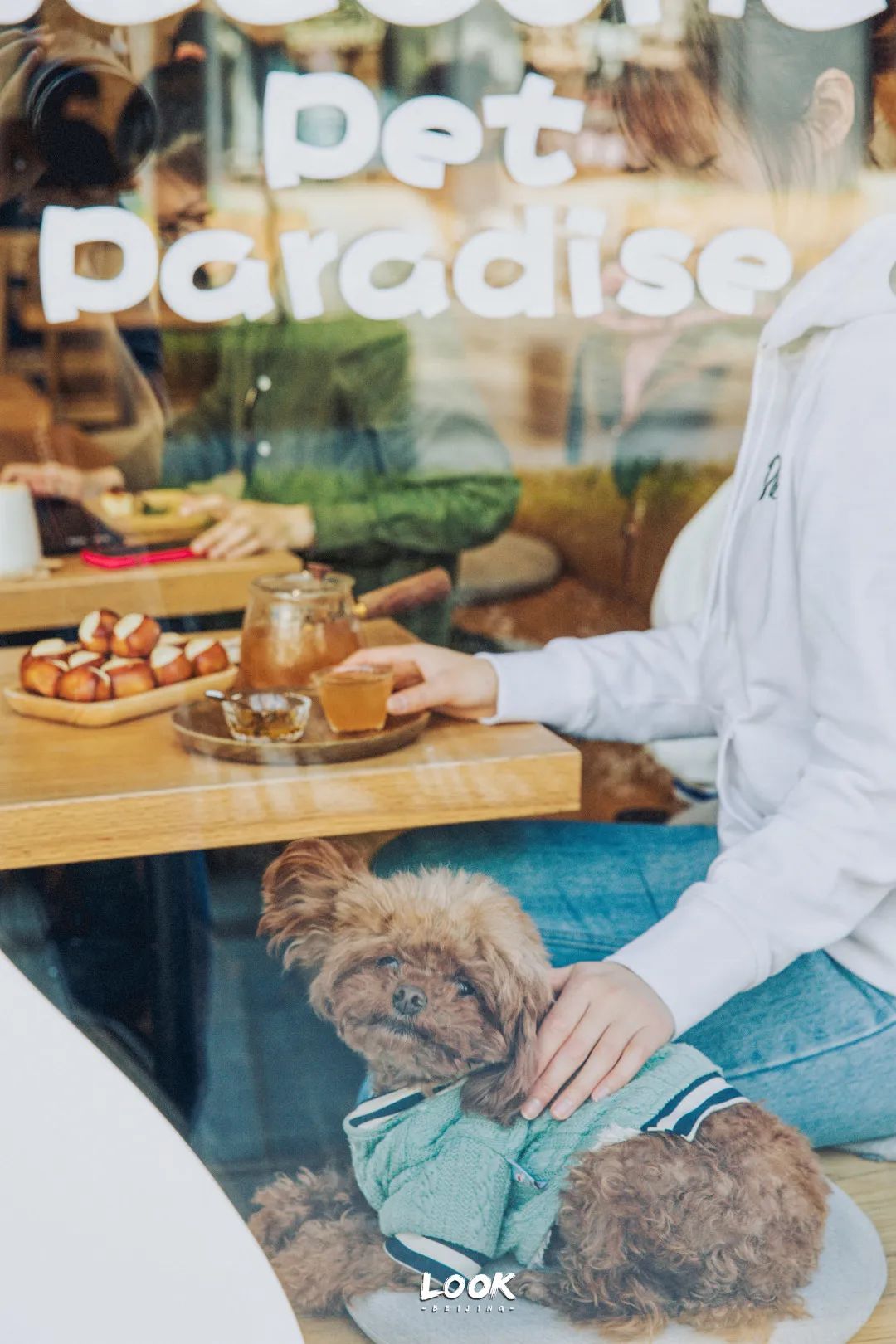 Beijing pet friendly shop · Long wait - iNEWS