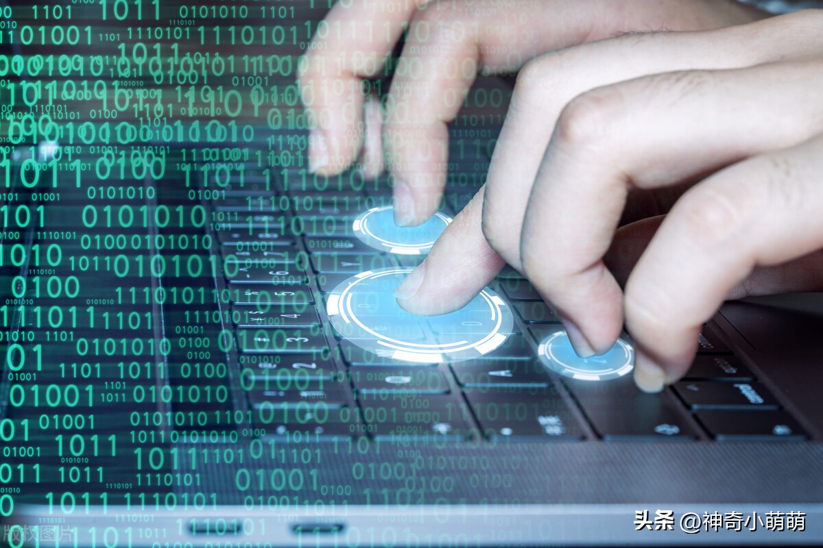 Dry goods! The core points of the data labeling industry-Lingzhi ...