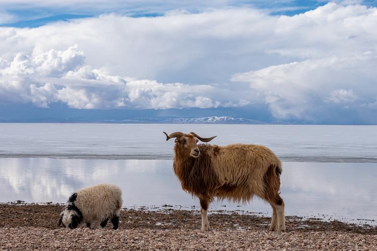 Why does the area of the lake continue to grow in the "Selincuo" on the ...