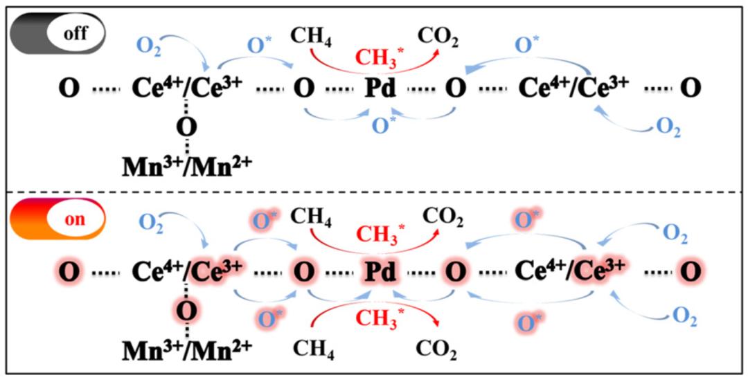 Influence of reaction mechanism and catalyst properties on catalytic ...