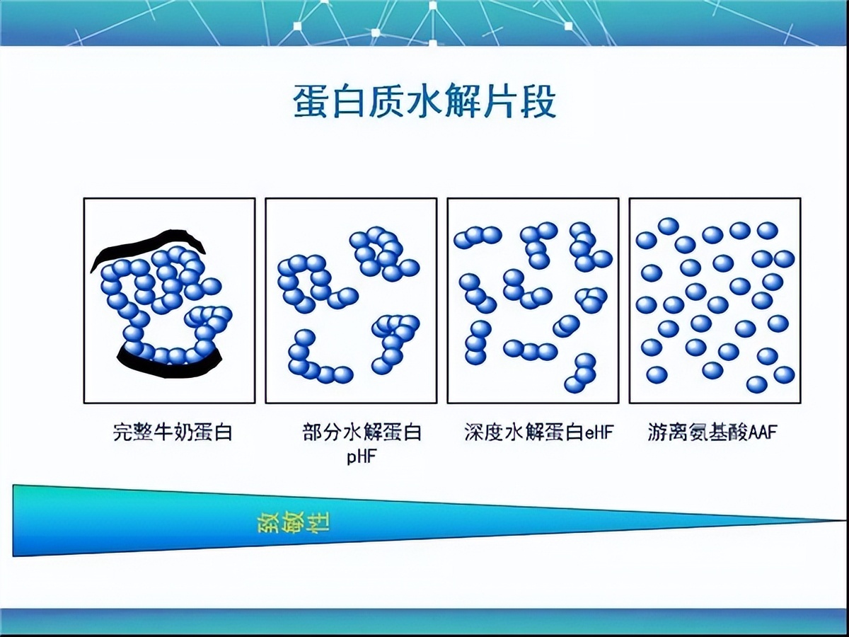 About the knowledge of moderately hydrolyzed milk powder, you must ...