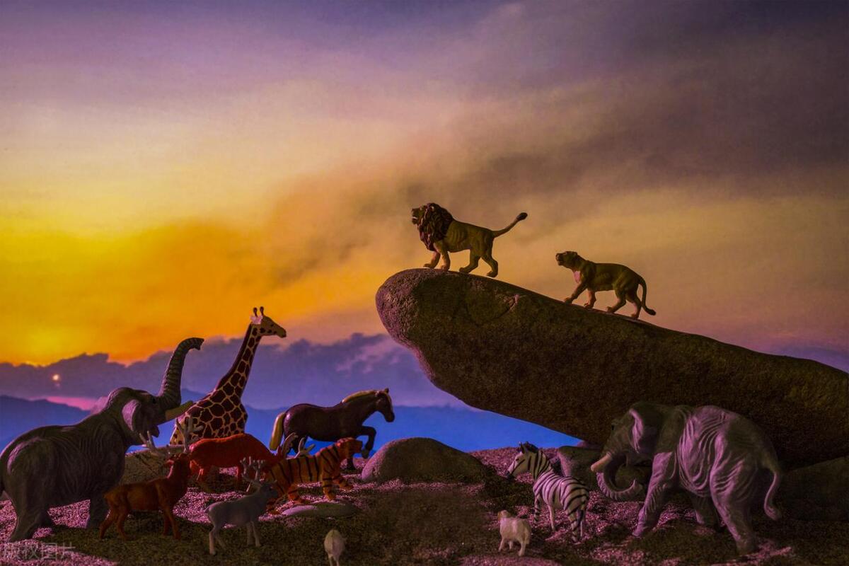 The legendary story of Zeus, the lion king, swept across the entire ...