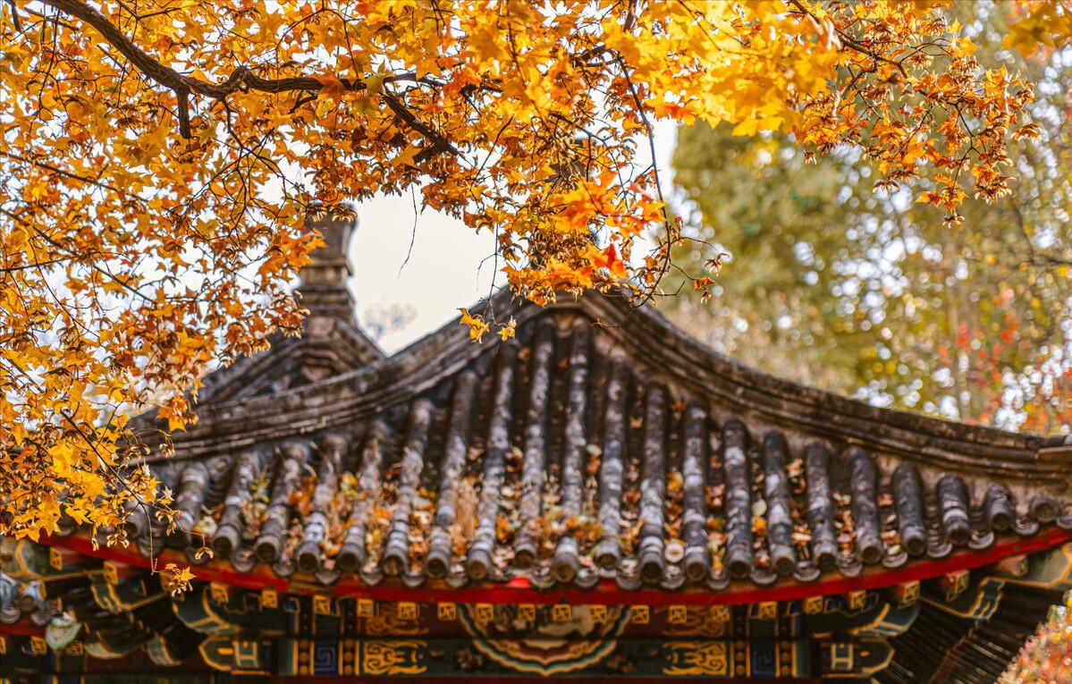 Sending Wei Wanzhi to Beijing – Tang Dynasty – Li Qi – Seven Character ...
