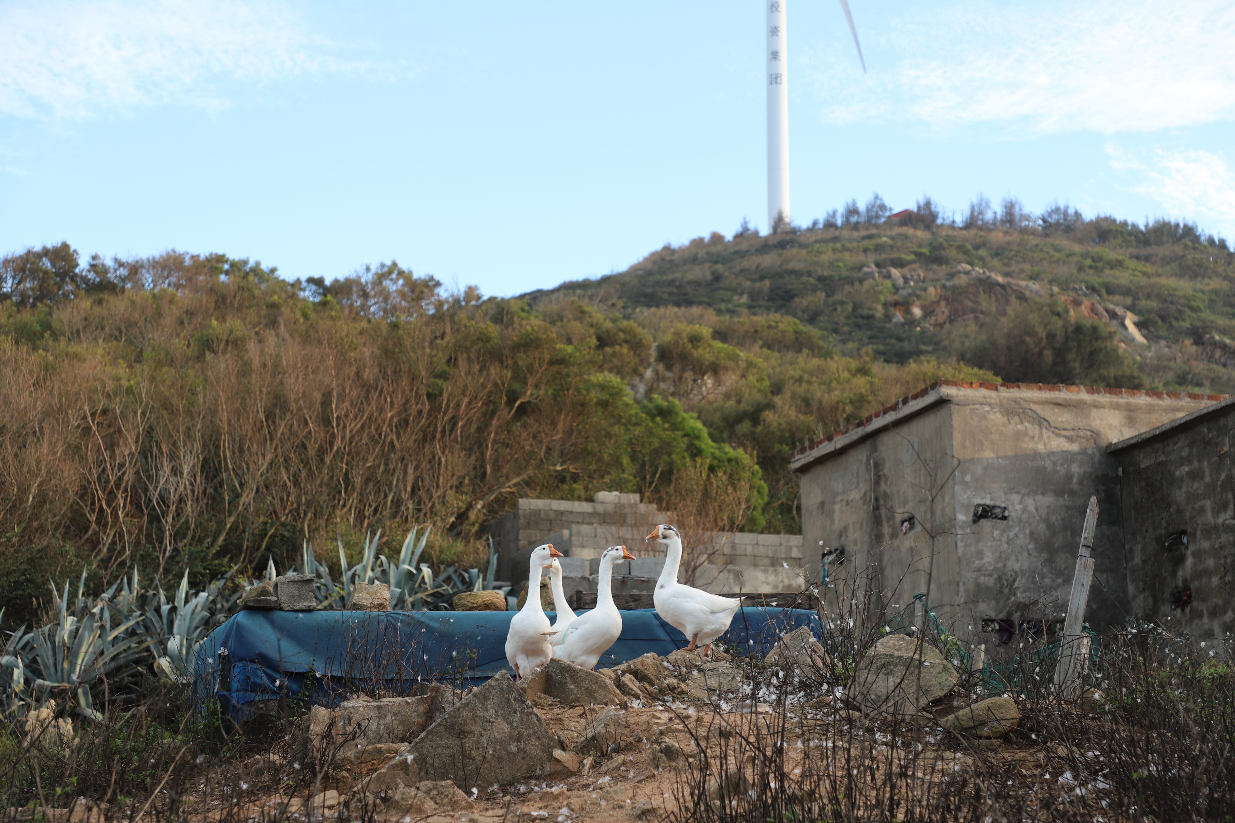 Pingtan Nursery Rhymes: Cultural Treasures, Inheritance of the Times ...