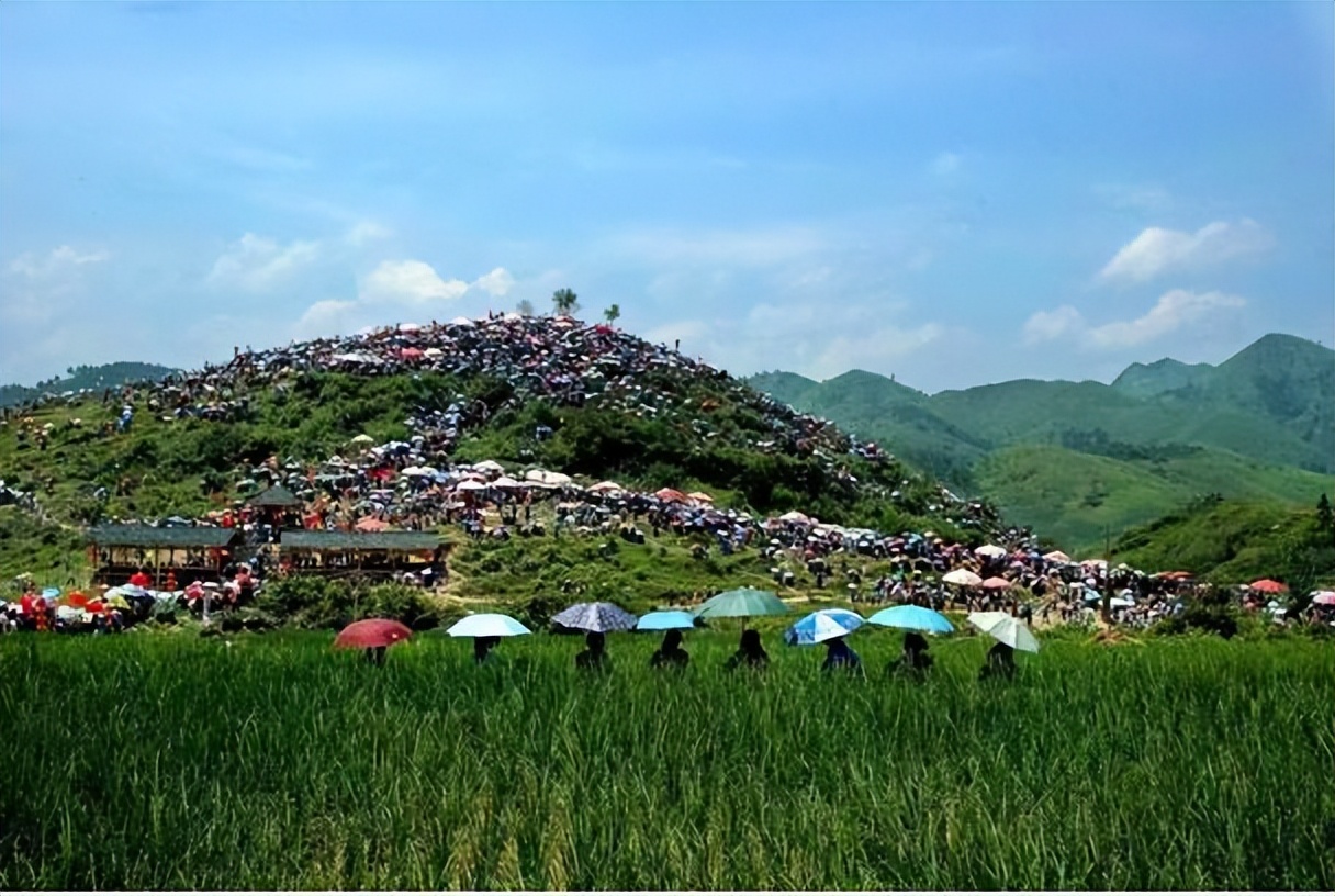 Travel Notes of Meisu by the Riverside of the Songfu Bieyuan: An ...