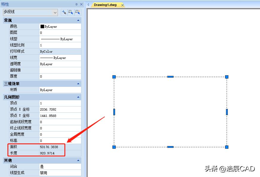 Why does the CAD polyline have no area attribute or the value is wrong?Come and see! - iNEWS