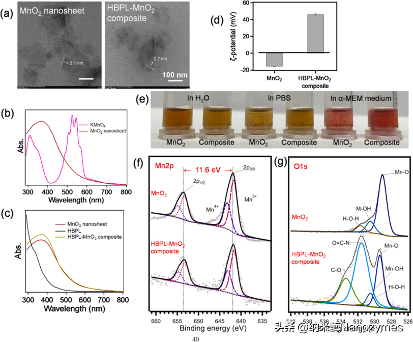 Nanozyme hydrogel promotes wound healing in diabetic infection - iNEWS