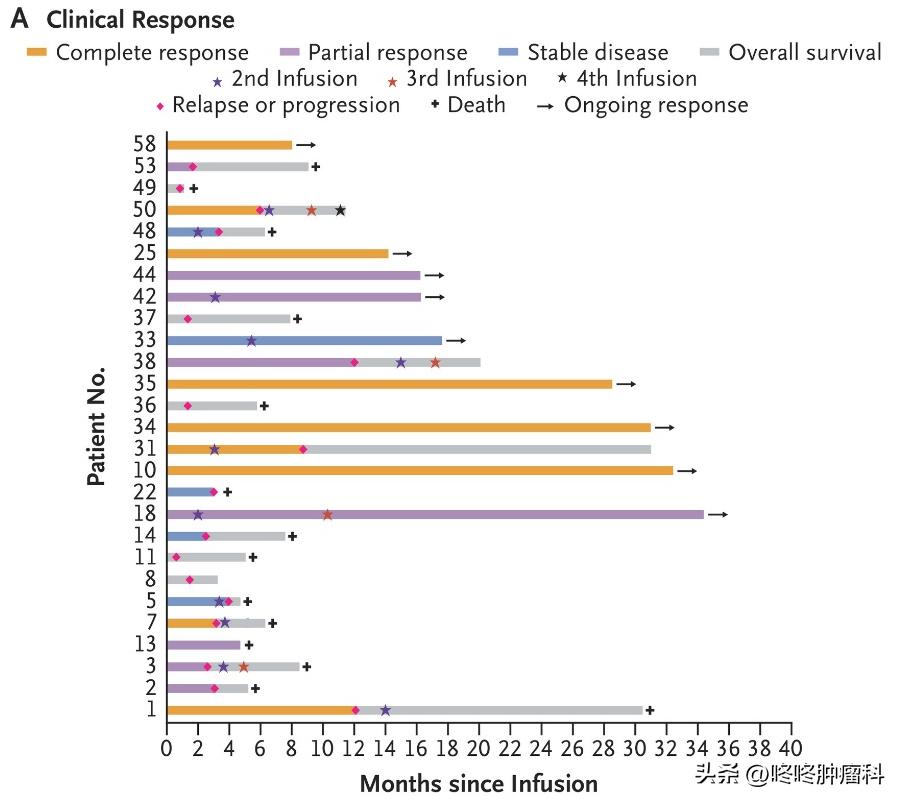 Immunotherapy can also brake in an emergency: CAR-T cells are equipped ...