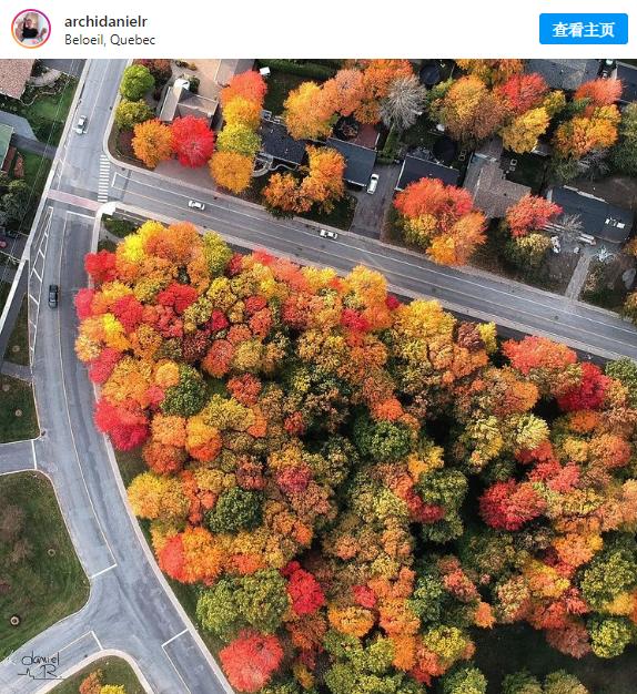 Maple leaves are red!Don't miss 15 maple viewing spots near Mengcheng, as well as the Internet ...