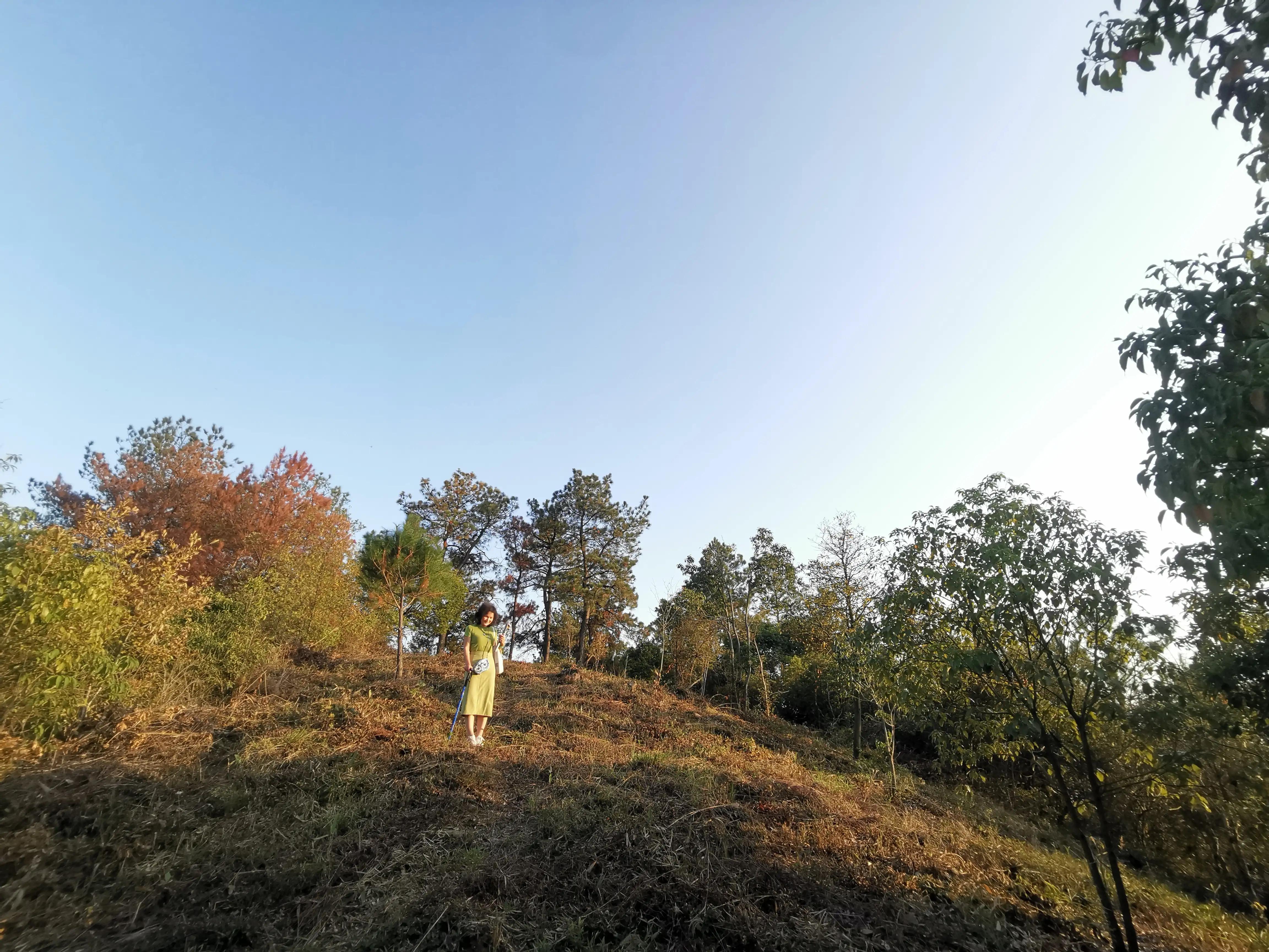 Fuyang Xinsha Island - iMedia